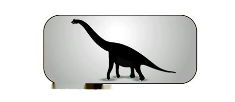 Difference Between Brontosaurus And Brachiosaurus Testbook