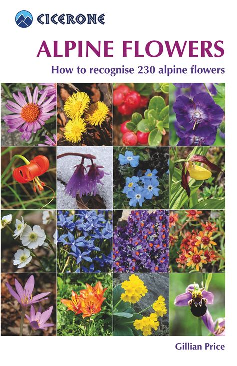 Alpine Flowers Pocket Field Guide For Cicerone Press