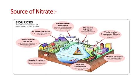 Nitrate Contamination