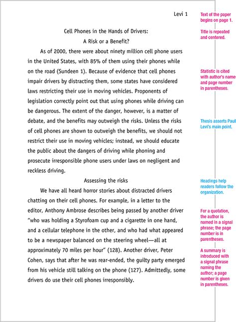 Mla Format Research Paper Guidelines Panochas De Mujeres