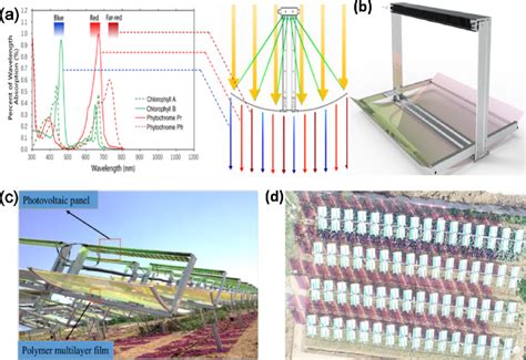 The Structure Design Of The Concentrated Lighting Agrivoltaic System Download Scientific