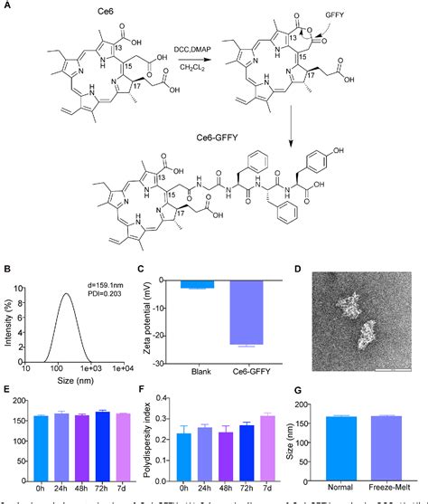 Figure 1 From Ce6 Gffy Is A Novel Photosensitizer For Colorectal Cancer