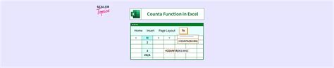 Excel Counta Function Scaler Topics