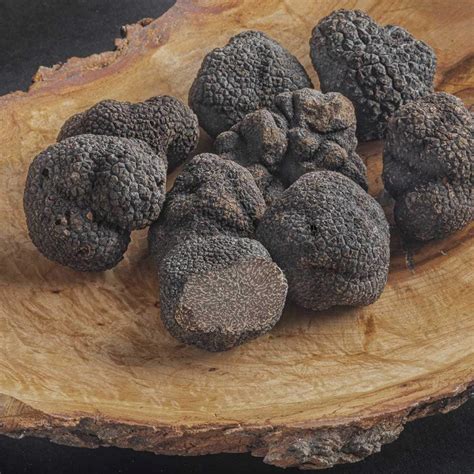 Black Truffle Recipes Forager Chef