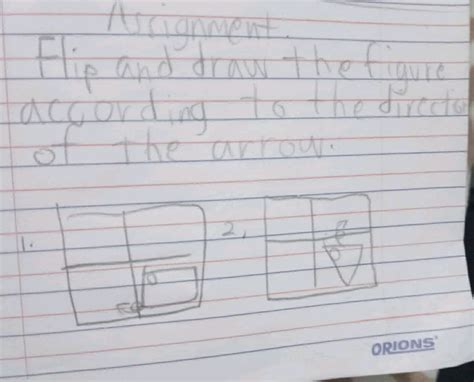 Assignment Flip And Draw The Figure Studyx