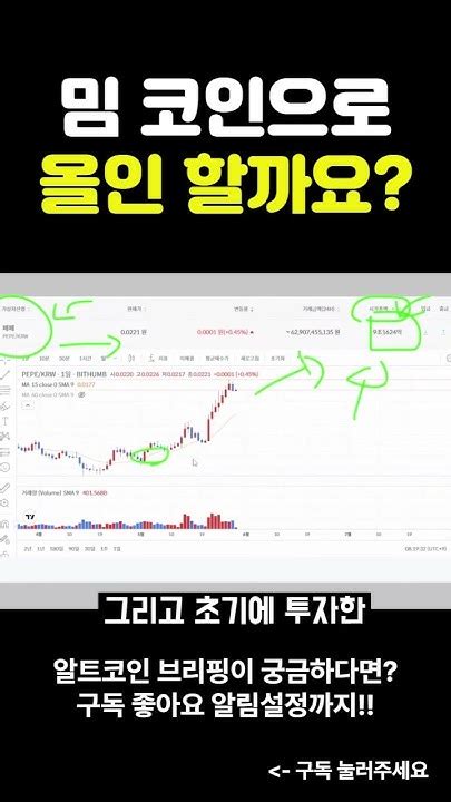밈 코인 투자하는 이유 200 상승 코인추천 비트코인 주식 Youtube