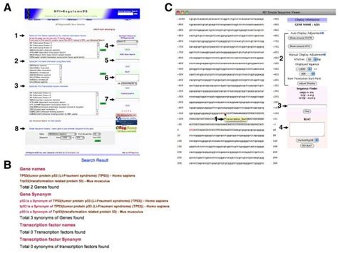 Basic Search Page Of NFI Regulome Database A Basic Search Page Download Scientific Diagram