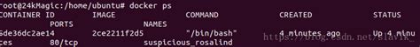 Docker简单操作and安装apache和phpphp Apache Dockerfig博客 Csdn博客
