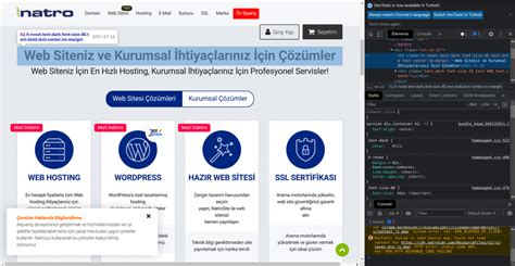 Css Nedir Css Kodları Nelerdir Natro