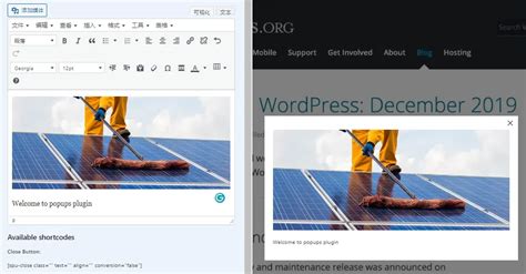 WP Popups 免费好用的 WordPress 弹窗插件 狂人网络