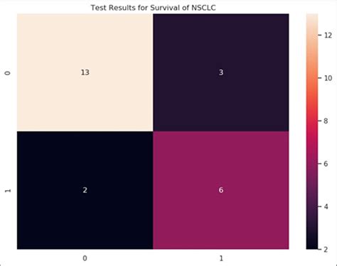 Predict Lung Cancer Survival Status Using Multimodal Data On Amazon Sagemaker Jumpstart