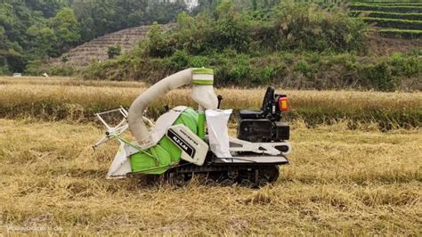5 Keunggulan Mini Combine Harvester Untuk Efisiensi Panen Yang Lebih Cepat Dan Hemat Penyedia