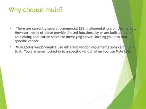 Complete Integration With Mule Esb Ppt Complete Integration With Mule Esb Ppt
