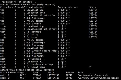 Linux命令2之netstatlinux中netstat显示格式 Csdn博客