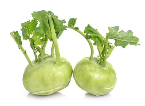 קולורבי ירוק גן הבית של הרדוף