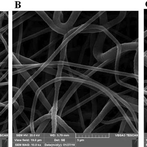Sem Image Of Different Pcl Nanofibrous Mats Obtained From A Pcl 5