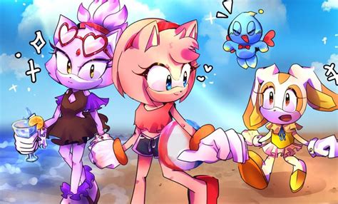Pin By Slime On Sonic Amy The Hedgehog Sonic Heroes Sonic Fan Art