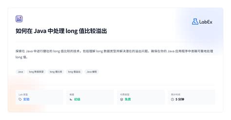 如何在 Java 中处理 Long 值比较溢出 Labex