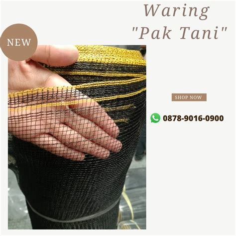 Waring Pak Tani Waringsupplier Medium