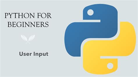 17 Python For Beginners Getting User Input In Python Youtube