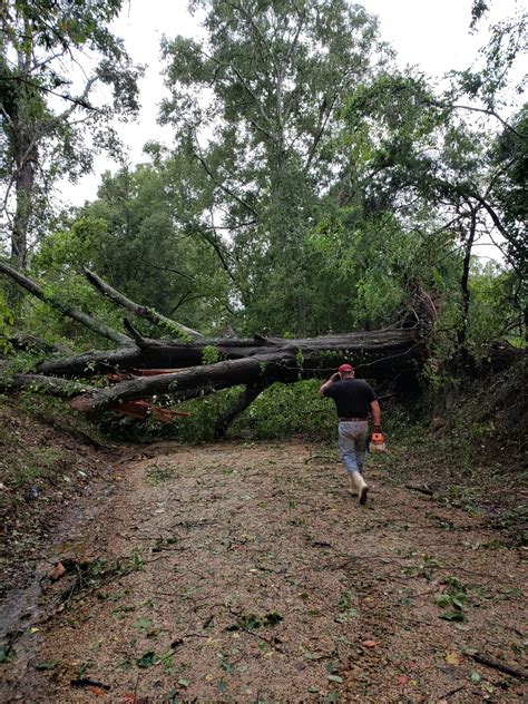 Third Person Dead From Falling Trees During After Laura