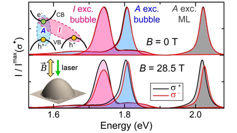 High Magnetic Fields Unveil Straininduced Exciton Hybridization In 2d Crystals Emfl