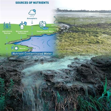 Paschal Nnaemeka Crop Sci On Linkedin 🌍📝 The Issue Of Nitrate Pollution Emerges As A Intricate