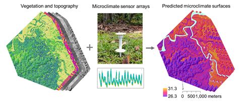 Spatial Ecology And Conservation Smithsonian Environmental Research Center