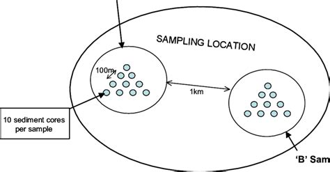 Sampling Strategy For A Given Sampling Location Download Scientific Diagram