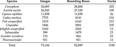 The Amount Of Annotated Images Bounding Boxes And Tracks For Each