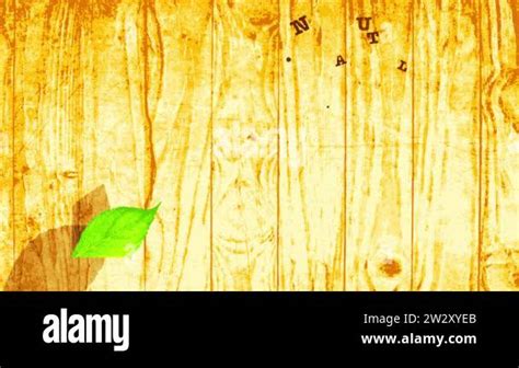 Scaling Easy Slowing Down With Spring Effect Animation Of Wooden Themed Fancy Vegan Vegetarian