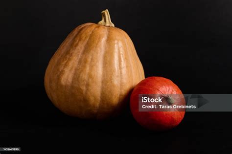 검은 배경 위에 격리된 작고 큰 호박의 구색 공간을 복사합니다 할로윈 추수 감사절 농업 가을에 대한 스톡 사진 및 기타 이미지 Istock