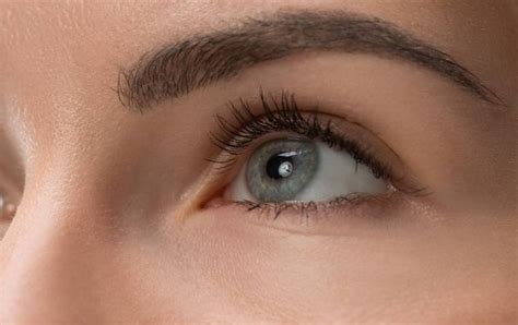 genetic insights into retinal aging and eye brain health obn