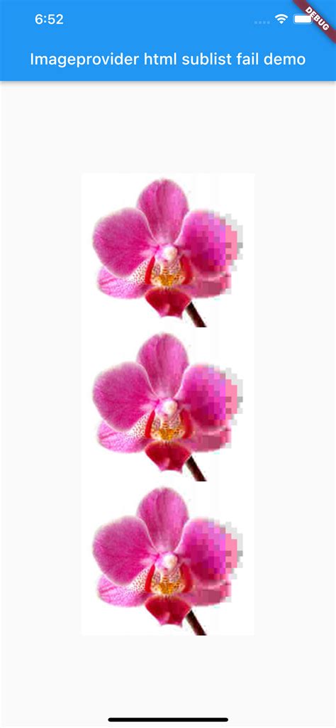 imageprovider is not working with html webrenderer and image data from