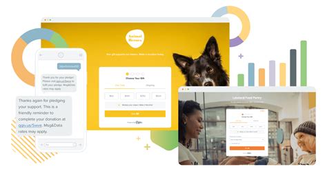 10 Best Nonprofit Fundraising Software To Empower New Donors Charity Charge