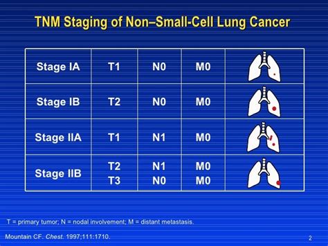 Non Small Cell Lung Cancer