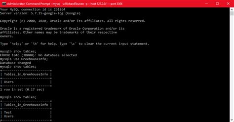 Nodejs Cloud Sql Mysql Database Tables Not Found When Created From