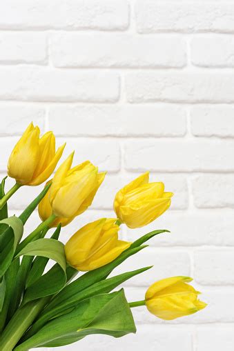 방에 흰색 벽돌 벽에 꽃 튤립 꽃 여성이나 어머니의 날을위한 봄 선물로 꽃의 꽃다발 수직 형식입니다 0명에 대한 스톡 사진 및 기타 이미지 Istock