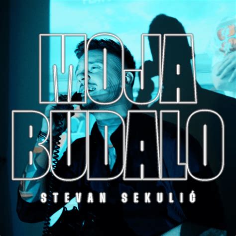 Stevan Sekulić Moja Budalo Lyrics Genius Lyrics