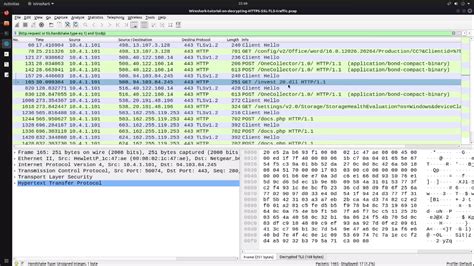 how to tell if data is encrypted on wireshark a comprehensive guide