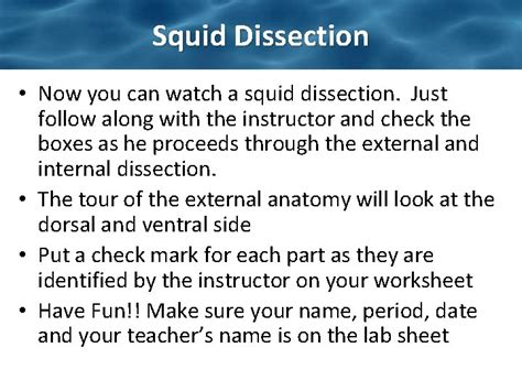 Virtual Squid Dissection Virtual Dissection Lab Hello Welcome