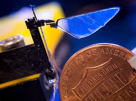 Tiny Robotic Insects Shine A Light On An Evolutionary Mystery Through Robophysics
