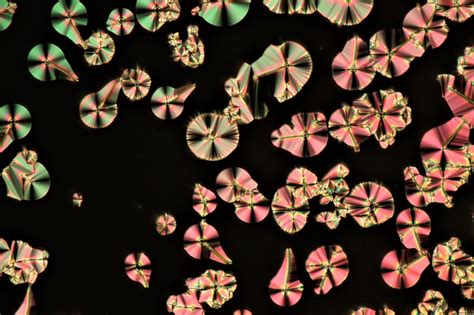 Liquid Crystal Laboratory RRI
