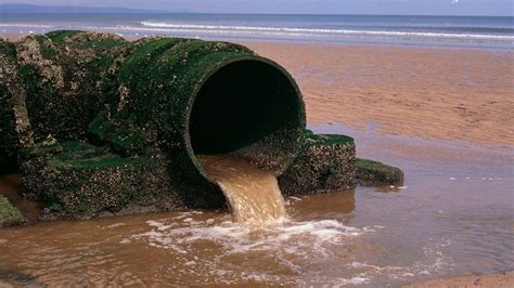 Fresh Wave Of Sewage Pollution Hits Britains Beaches Business