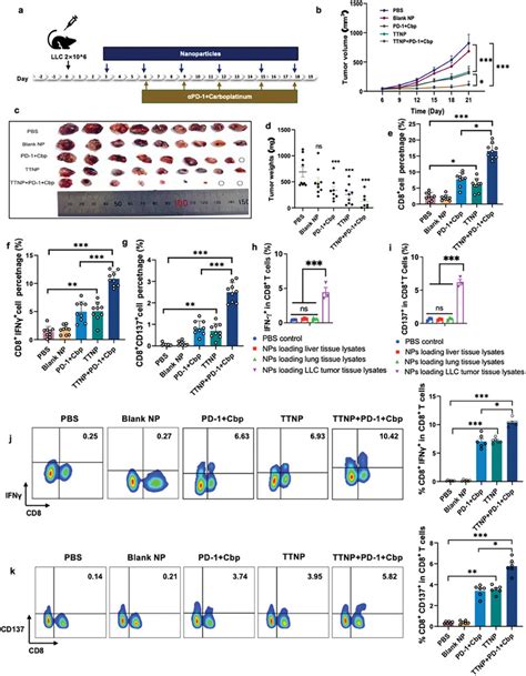 Efficient Predictor For Immunotherapy Efficacy Detecting Pan‐clones Effector Tumor Antigen