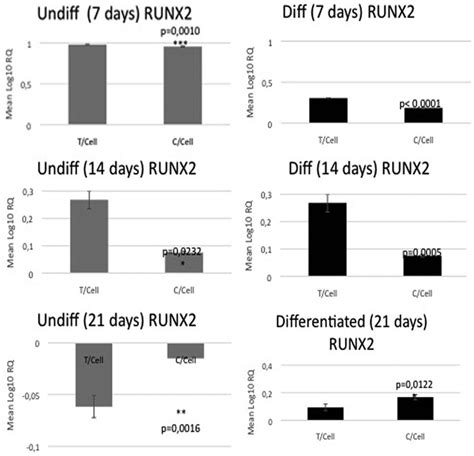 Rt Pcr Of Runx 2 The Graphs Show The Runx 2 Expression After 7 14