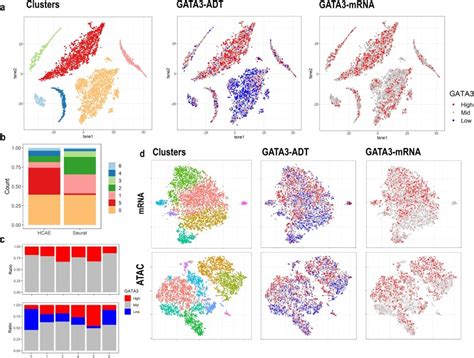 MultiSC A Deep Learning Pipeline For Analyzing Multiomics Single Cell Data PMC