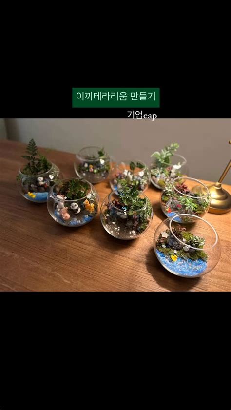 플라워클래스 L 테라리움 L 기업출강 전문 델라젬플라워 L 단체출강수업 L 가드닝클래스 L 홍대꽃집 클라란스 장미가 너무 예뻐서 폴리 유칼립투스랑 제작한 화병꽂이