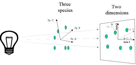 Ordination Methods An Overview