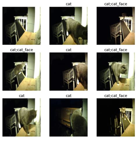 Why Is Fastai Creating Four Classes Multilabel When There Are Only Three Fastai Fastai